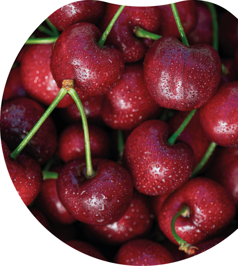 Contact Us! - David Del Curto | Líder en el negocio de exportación de fruta