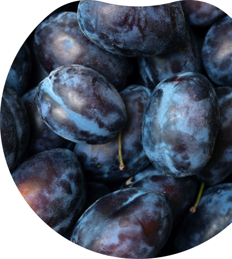 Our Growers - David Del Curto | Líder en el negocio de exportación de fruta