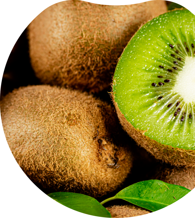 Inicio - David Del Curto | Líder en el negocio de exportación de fruta