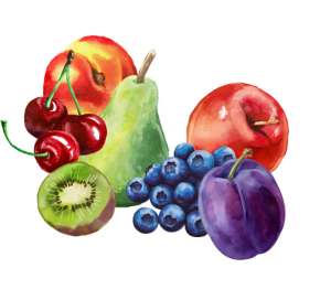 Our Fruits & Sales - David Del Curto | Líder en el negocio de ...