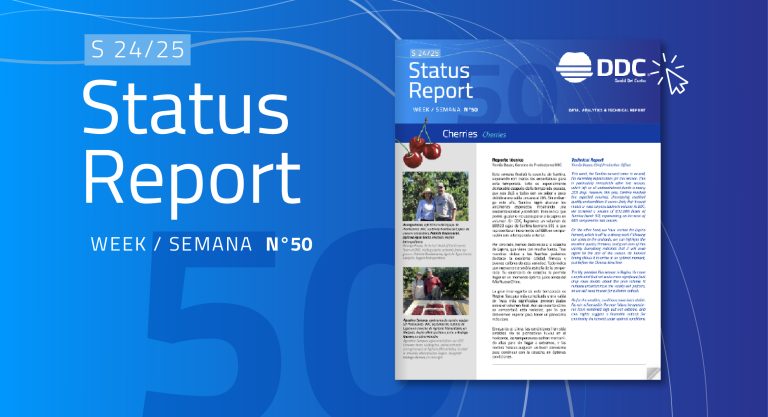 New Edition: Status Report – Week 50 - David Del Curto | Líder en el ...