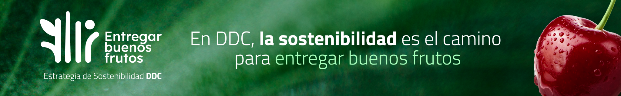 Inicio - David Del Curto | Líder en el negocio de exportación de fruta