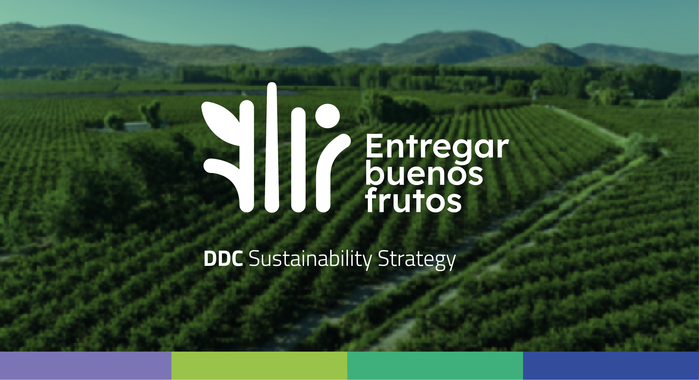 DDC lanza su Estrategia de Sostenibilidad: Entregar Buenos Frutos ...