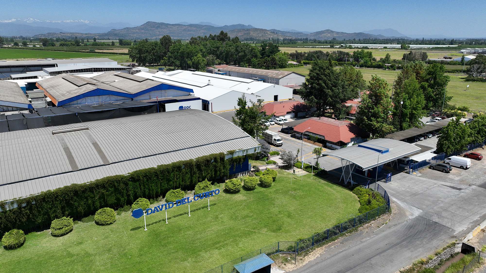 Inicio - David Del Curto | Líder en el negocio de exportación de fruta